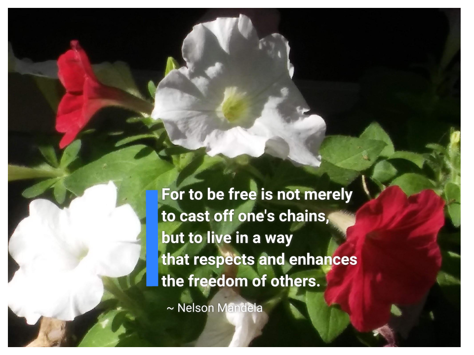 Addiction Recovery Quotes | Freedom