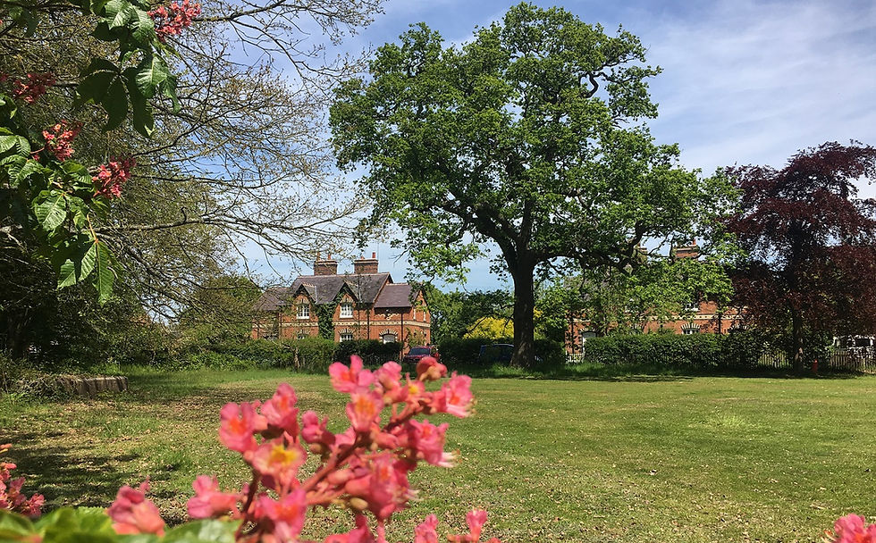 Background | Wroxall Estate