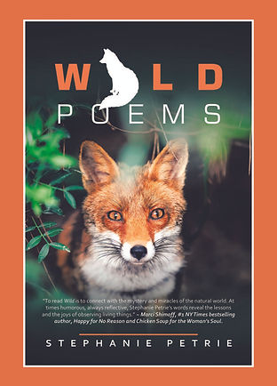 BOOKS | Stephanie Petrie