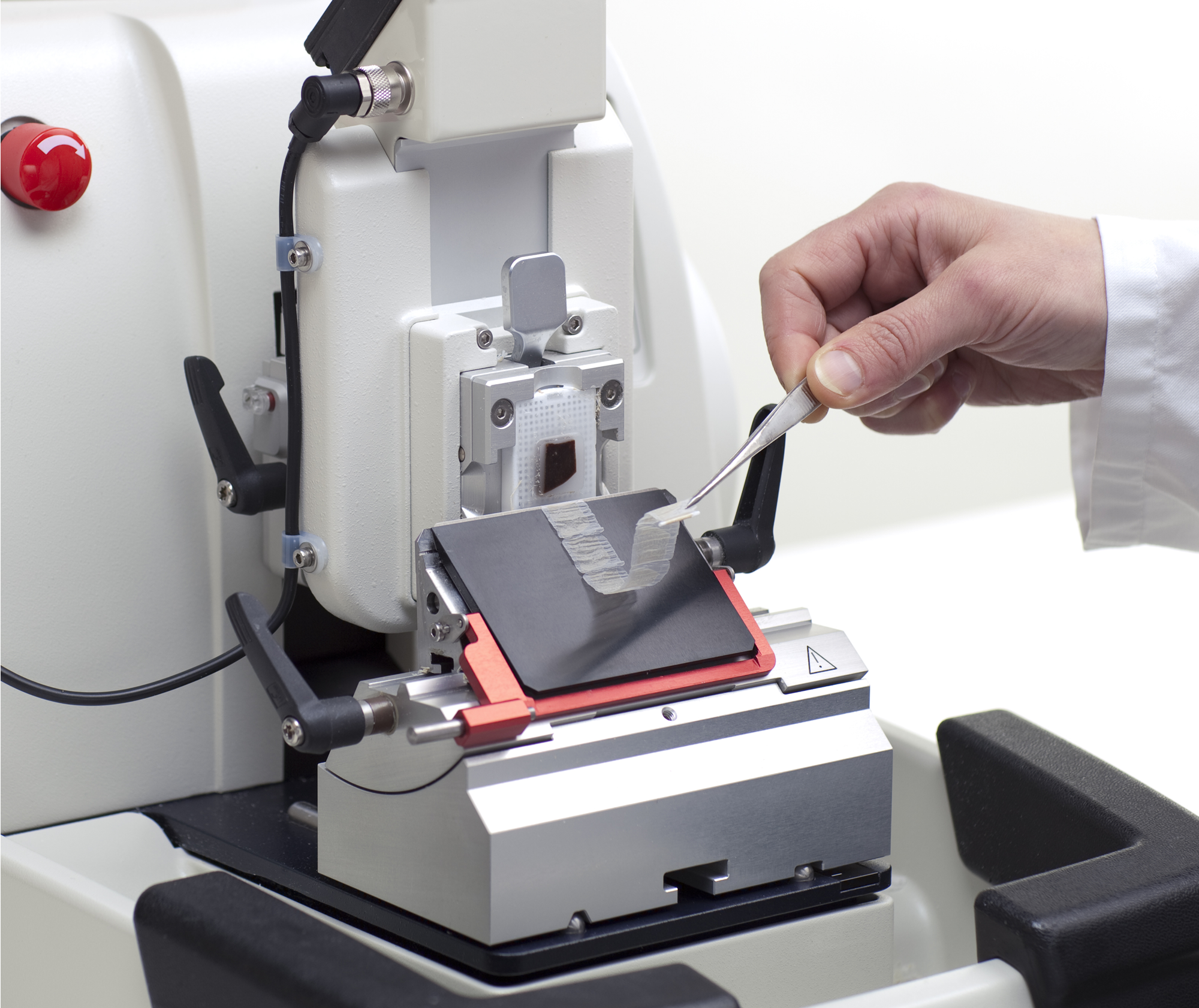 Sanitas SAS | Lab Technology