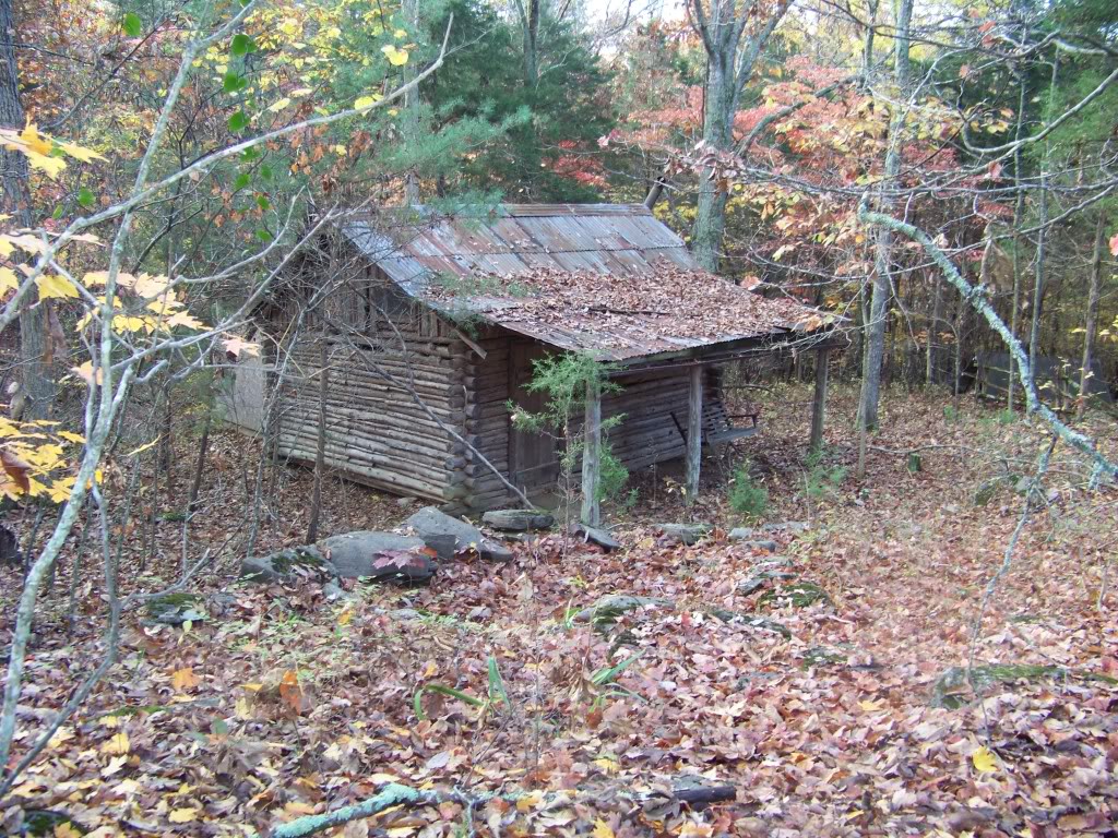 Shelters | raccoon-bushcraft