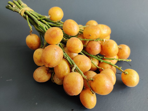 Buy WAMPI / WAMPEE (2 YEAR OLD) FRUIT TREE | Heaven On Earth Fruit Trees