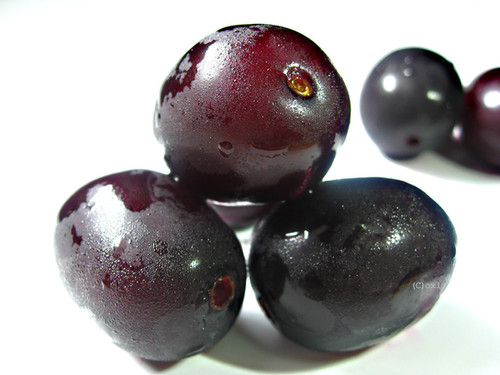 Buy JAVA HOG PLUM JAMBOLAN Fruit tree online | Heaven On Earth Fruit Trees