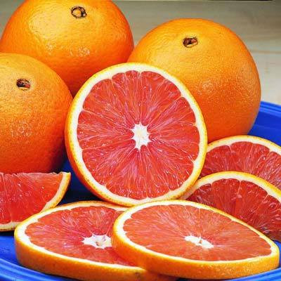 Buy ALREADY FRUITING CARA CARA BLOOD ORANGE FRUIT TREE online | Heaven ...