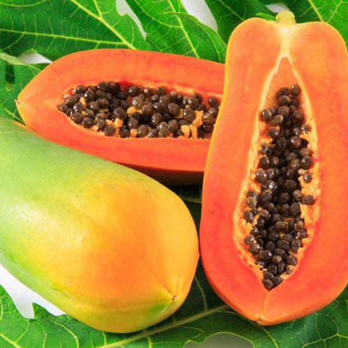 Buy SELF FERTILE RED PAPAYA FRUIT TREE) online | Heaven On Earth Fruit ...