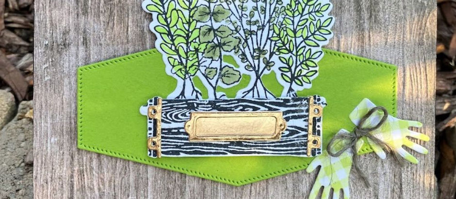 Spotlight | Kathy Crow's Cards