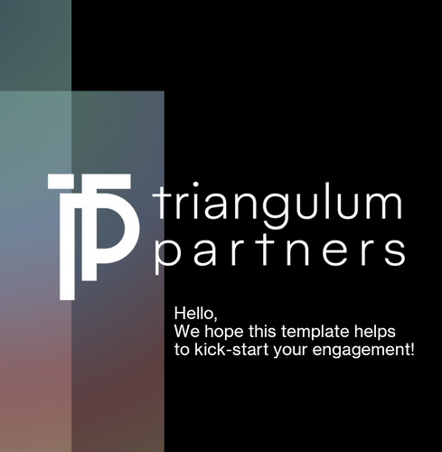 Scope of Work Template | Triangulum Partners