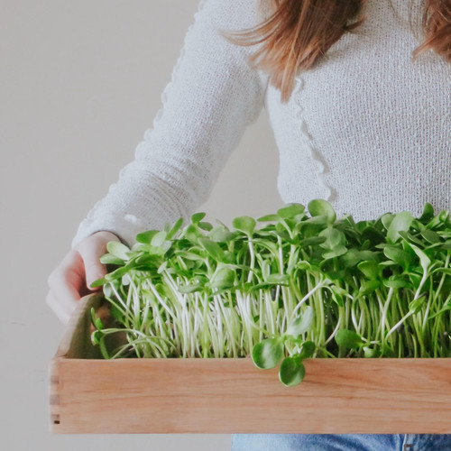 All Products | Fourth Soil Farm