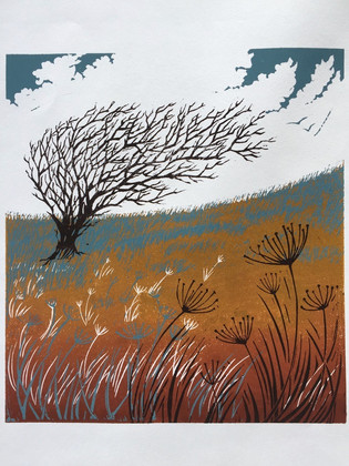 Carolyn Cox | linocut printmaker