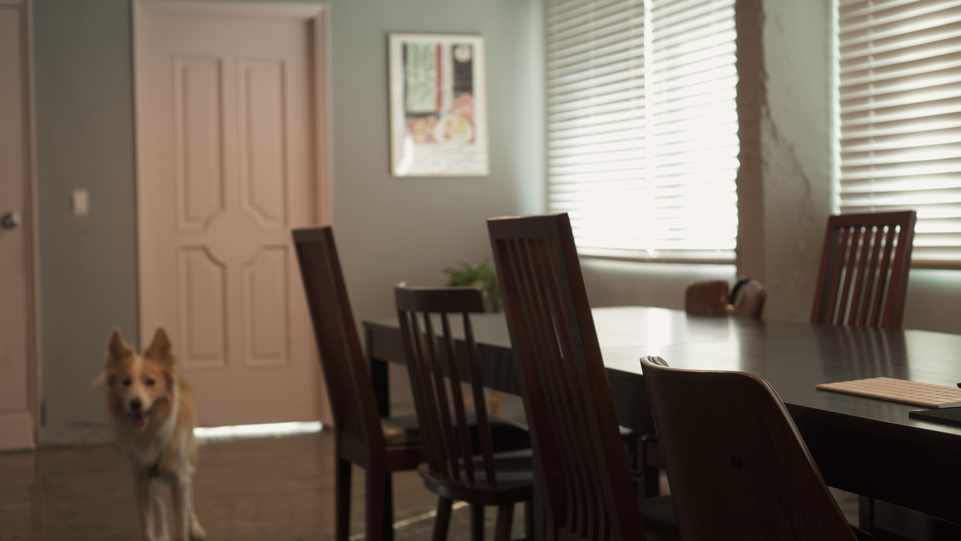 home | MOVIDICK