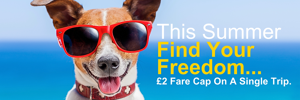 Bus Operator | Brylaine | England