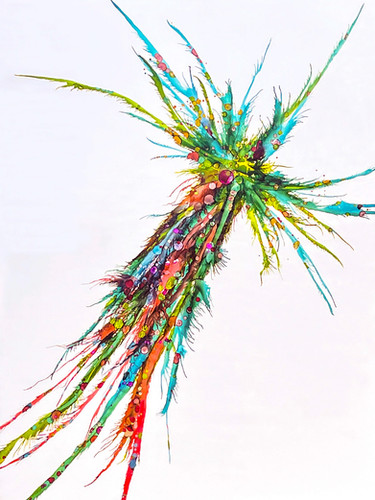 The Peacock's Plight | darty art