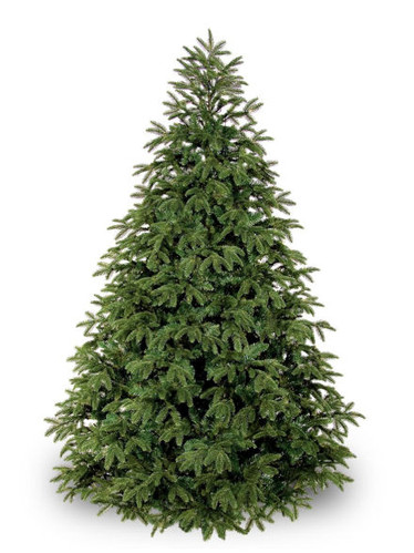 Frasier Fir Traditional Christmas Tree | NYC Tree Lady