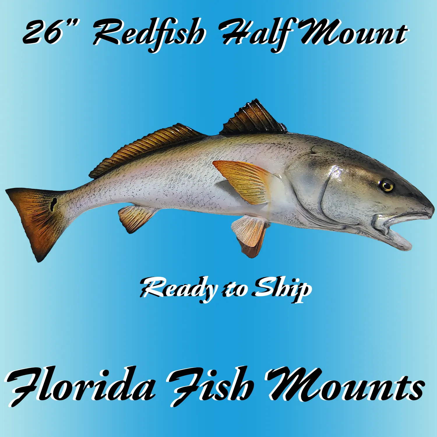 26” Redfish Fish Mount | Half Mount Replica In Stock & Ready to Ship