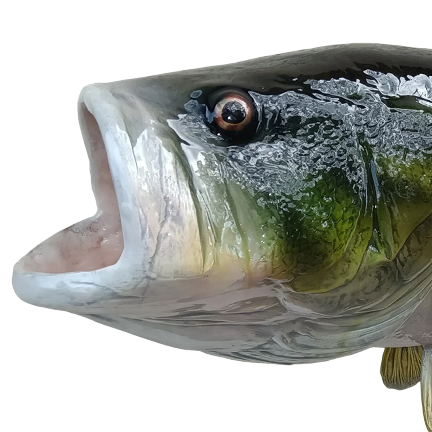 Order Largemouth Bass Fish Mount Replica | Custom Freshwater Mounts ...
