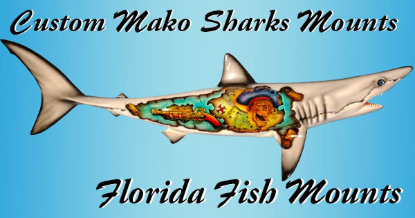 53" Mako Shark Mount with Pirate Mural | Handcrafted by Greg Cassell