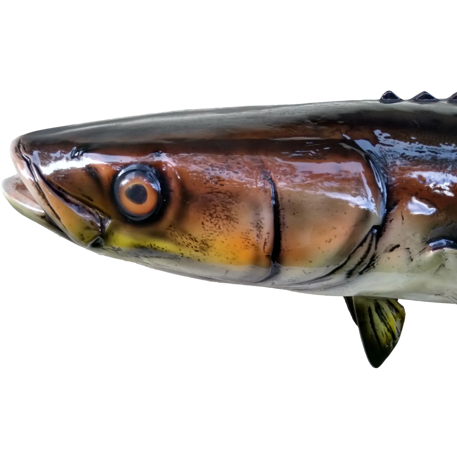 Order Your Cobia Fish Mount Replica | Custom Saltwater Mounts | Florida ...