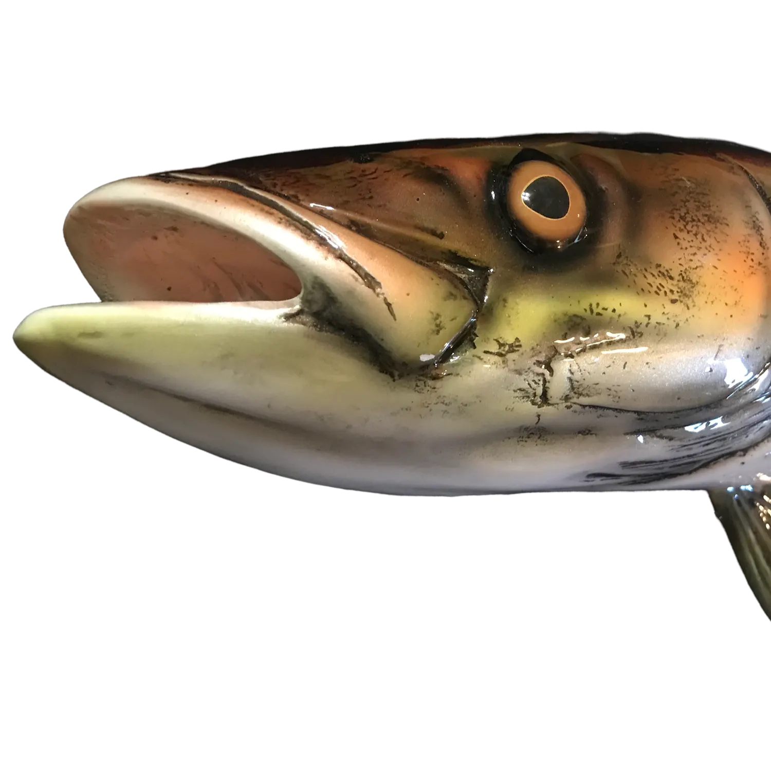 Order Your Cobia Fish Mount Replica | Custom Saltwater Mounts | Florida ...