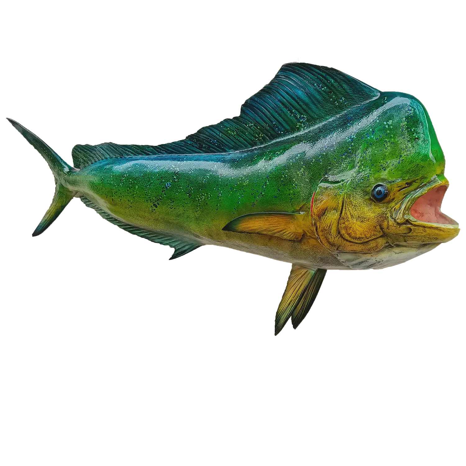 Order Mahi Bull Fish Mount Replica | Custom Saltwater Mounts | Florida ...