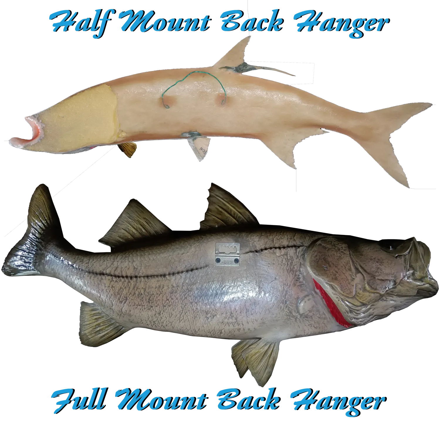 Order Your Cobia Fish Mount Replica | Custom Saltwater Mounts | Florida ...