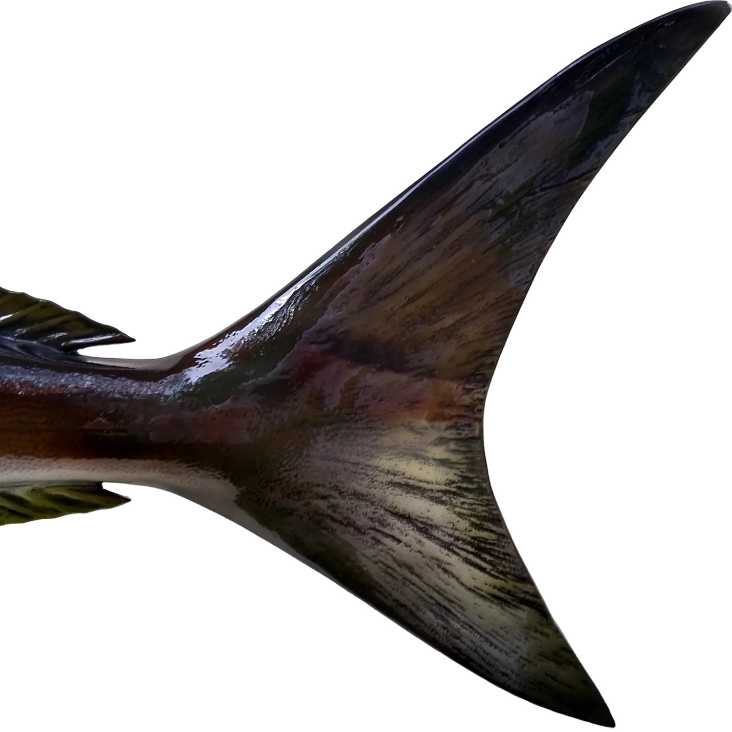 Order Your Cobia Fish Mount Replica | Custom Saltwater Mounts | Florida ...