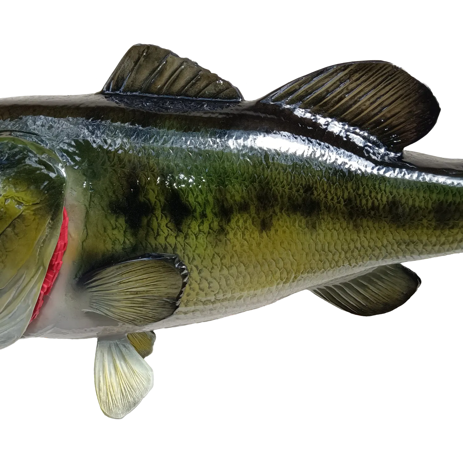 Order Largemouth Bass Fish Mount Replica | Custom Freshwater Mounts ...