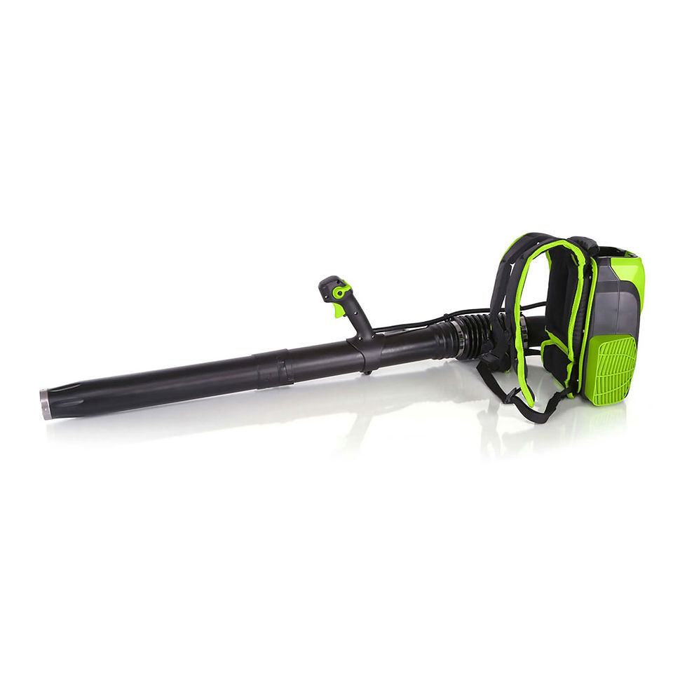 Greenworks DigiPro 60V Cordless Backpack Blower | Dean Mowers LTD