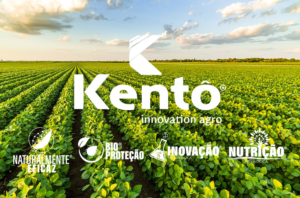 Kento Agronegócios