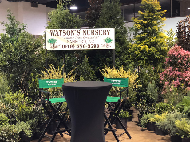 Container Grown Plants | Watson's Nursery | Sanford