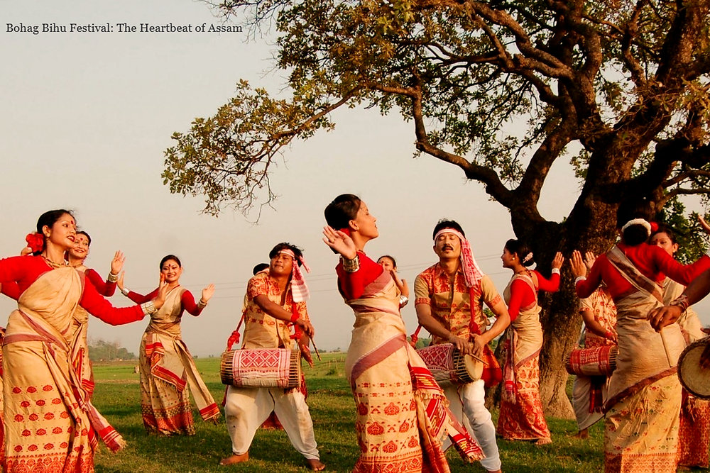 Discovering Assam: A Cultural and Natural Paradise 🌄🍃