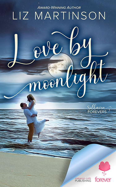 Home | Liz Martinson, author of romantic suspense and adventure
