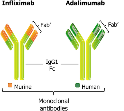 Infliximab (Remicade) the infusions, the effects and and drug induced ...