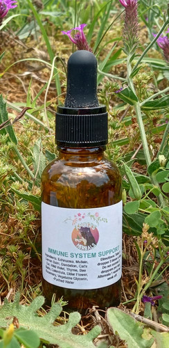 Immune System Support 1 oz dropper | Amber's Herbals