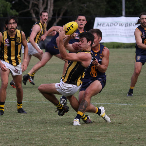 Afl Queensland | Mayne Tigers | Gaythorne