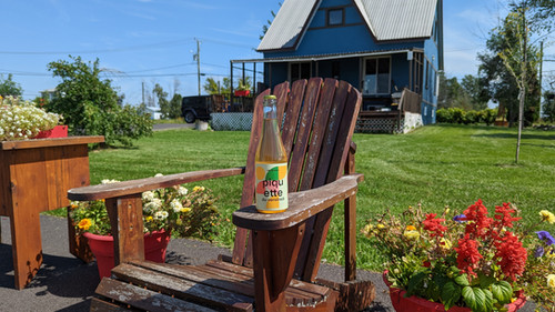 Piquette du Vendredi (vin orange) | Vignoble Kobloth