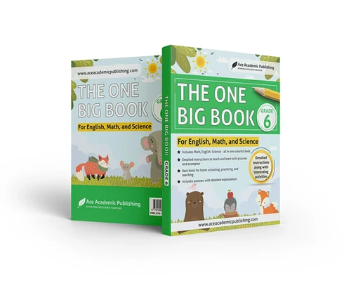 Grade 6 - The One Big Book | Ace Academic Publish