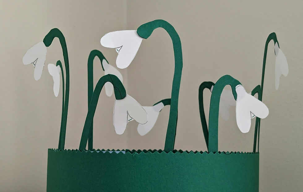 EVENTS | Shaftesburysnowdrops