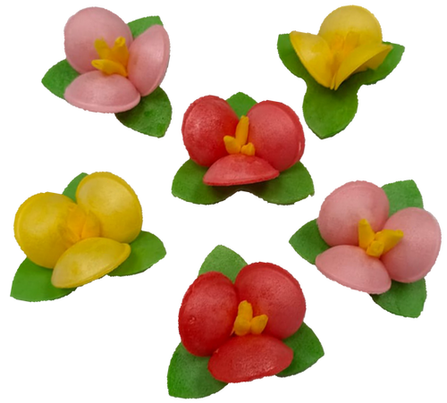 FLOWERS - SARAH | Cake Flora