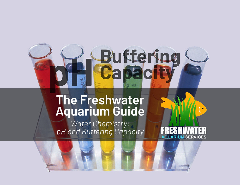 Water Chemistry: pH & Buffering Capacity