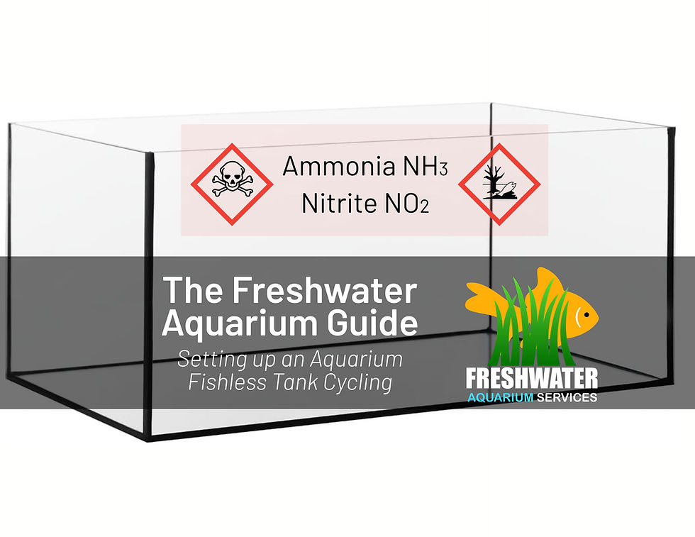 Setting up an Aquarium - Fishless Tank Cycle