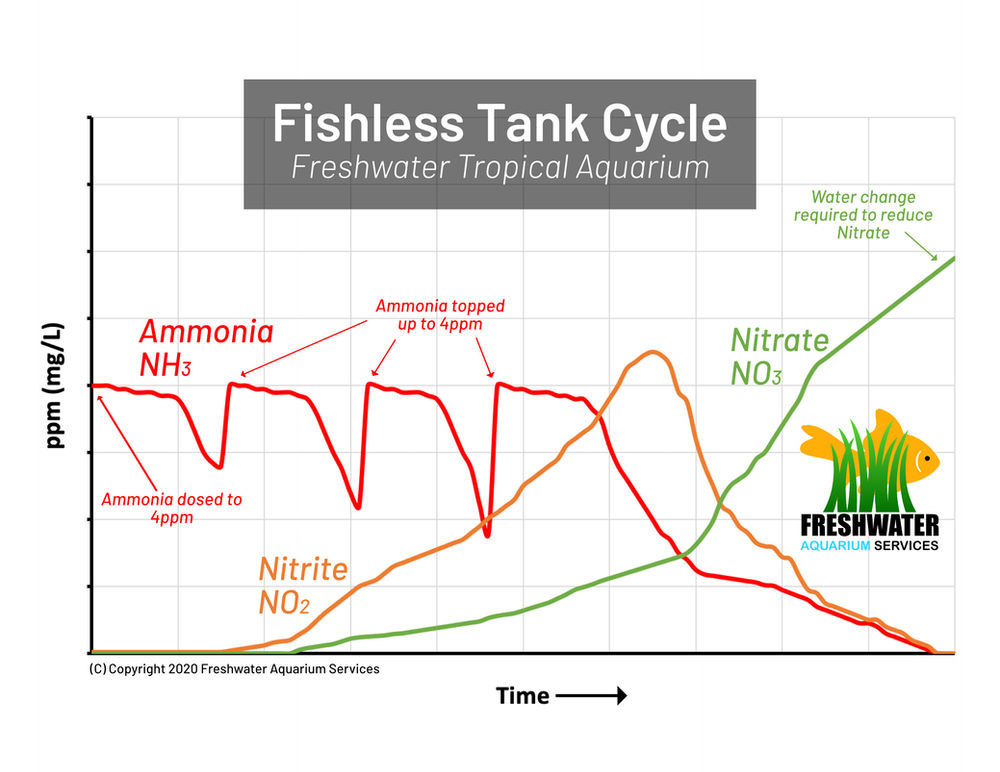 Setting up an Aquarium - Fishless Tank Cycle