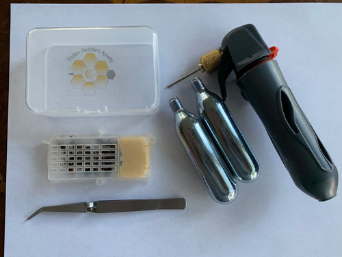 Therapy Dream Pod | Pollen Peddlers