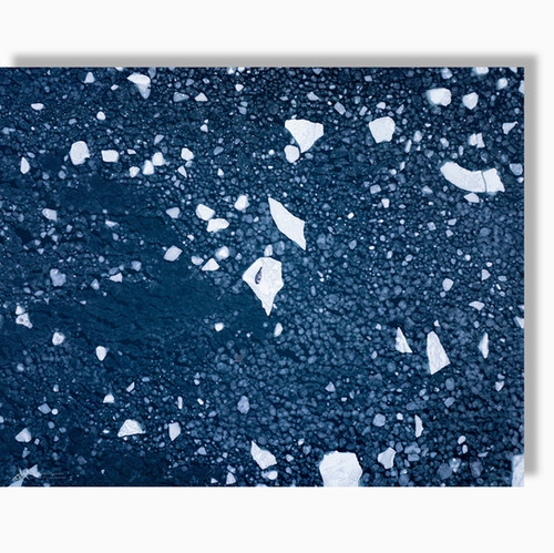 Texture de phoque - Impression | Eric Deschamps