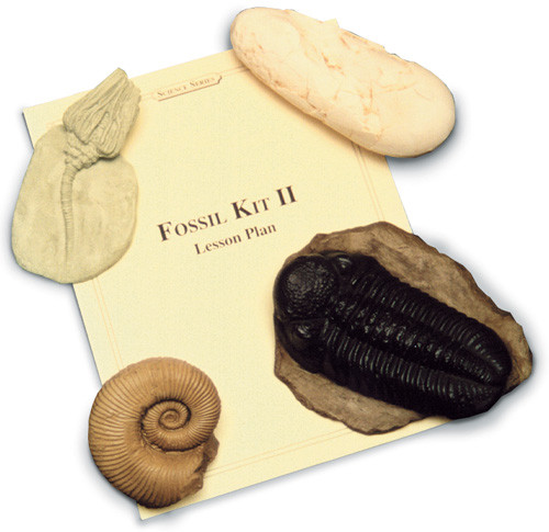 Fossil Kit II | SD Toyz | USD90 | InStock