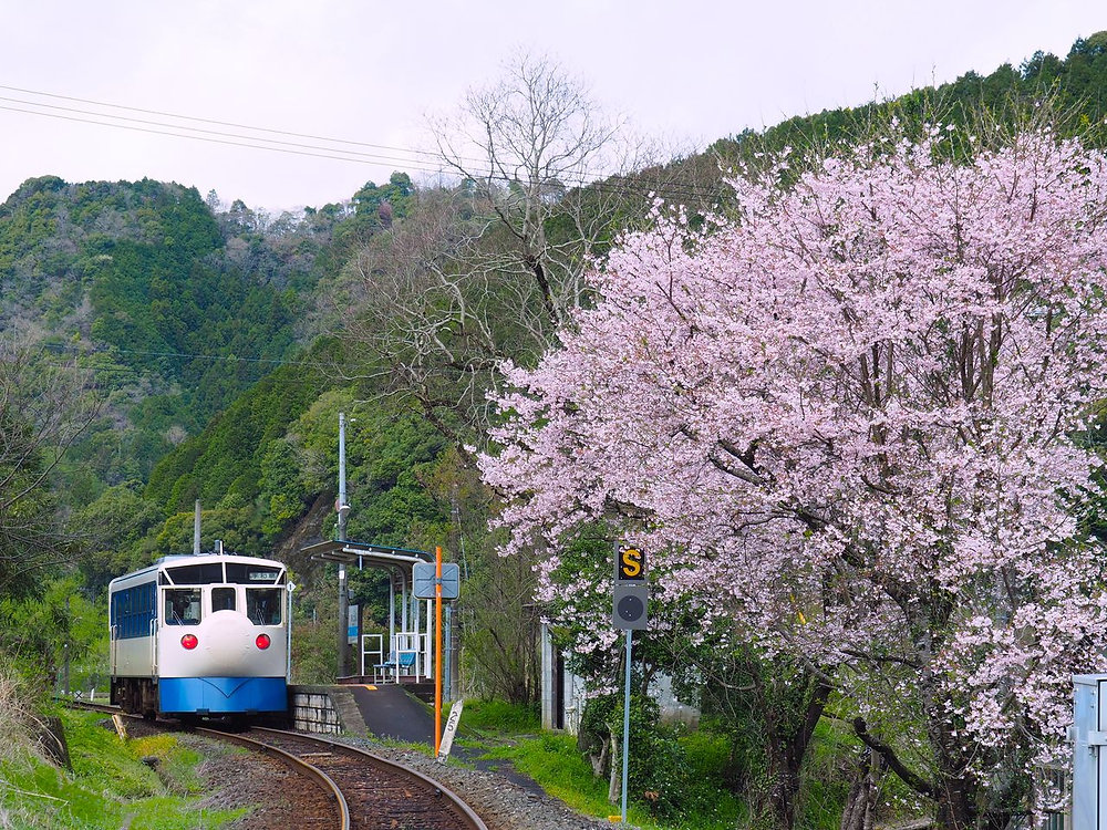 The slowest bullet train