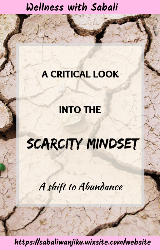 A critical look into the scarcity mindset