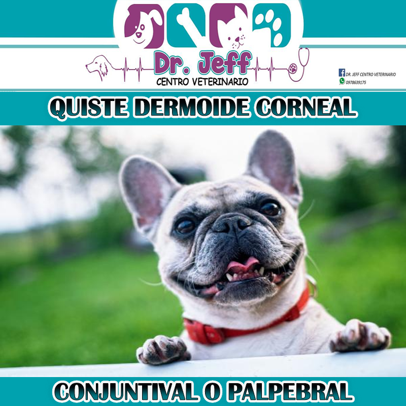 QUISTE DERMOIDE CORNEAL, CONJUNTIVAL O PALPEBRAL.
