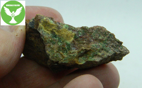 Metatorbernit Zálesí (Metatorbernite) | Minerals Falcon