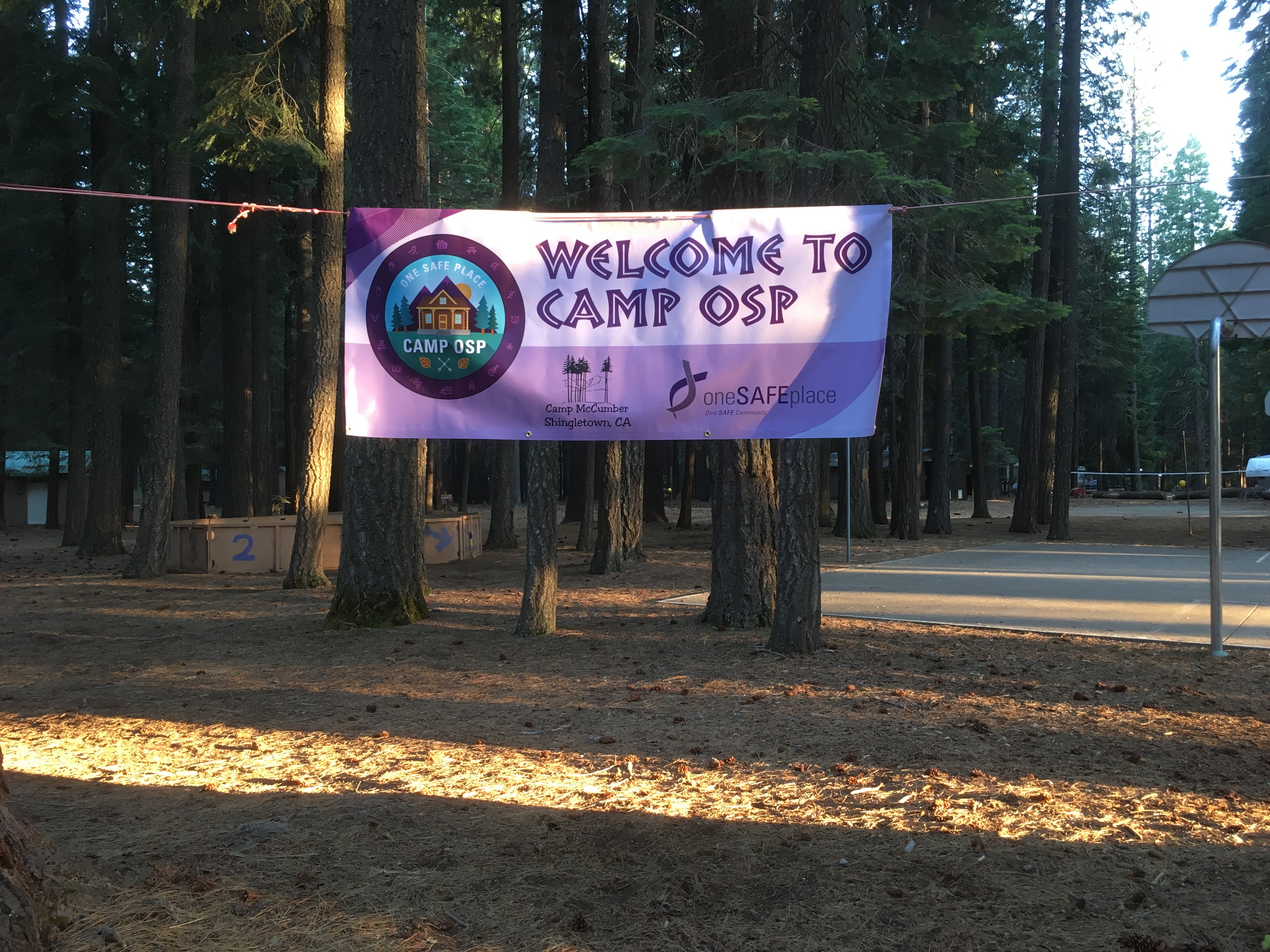 PICTURES & VIDEOS | campmccumber