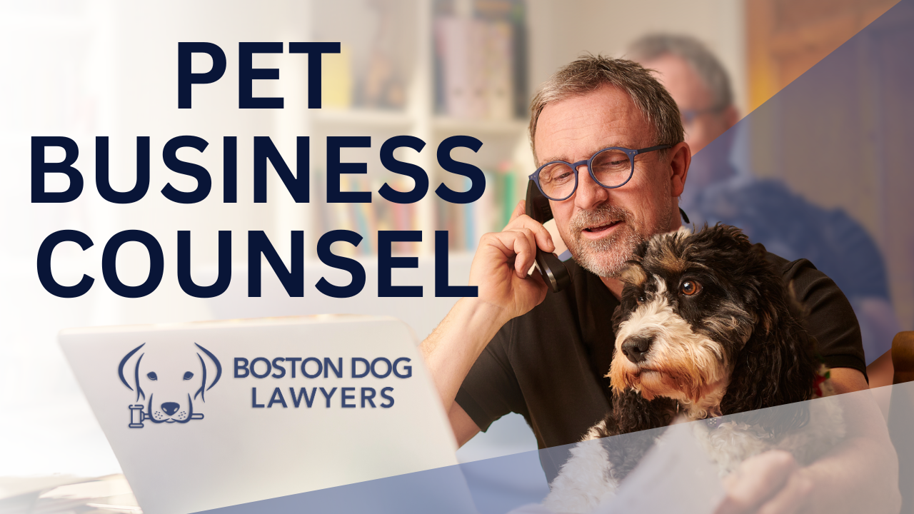 Counsel for Pet Businesses in Boston MA | Boston Dog Lawyers